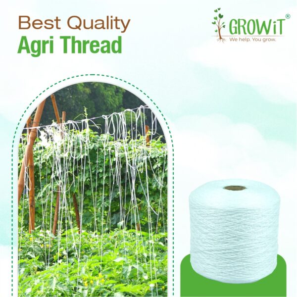 Home - thegrowit.com